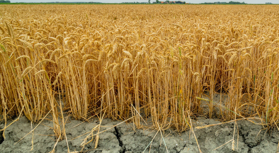 Regulacje unijne zastąpią polski zakaz przywozu towarów rolnych z Ukrainy