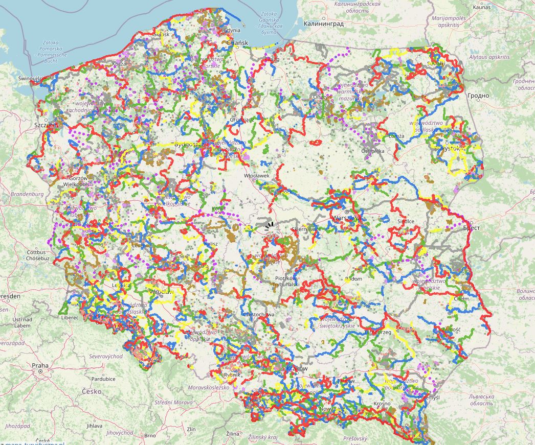 Gdzie można nocować w lesie? Oto zasady i lokalizacje