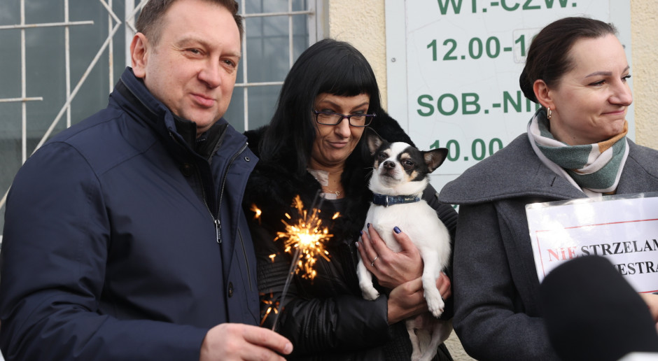Politycy Lewicy i pracownicy schroniska apelują o nie strzelanie w ...