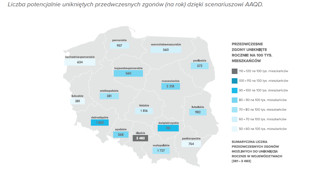 Polska może być wolna od smogu już w 2030 r. Warunkiem utrzymanie tempa ...