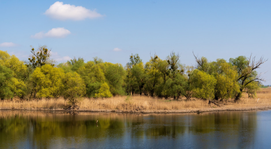 Apel samorządów do prezydenta: utwórzmy Park Narodowy Doliny Dolnej Odry