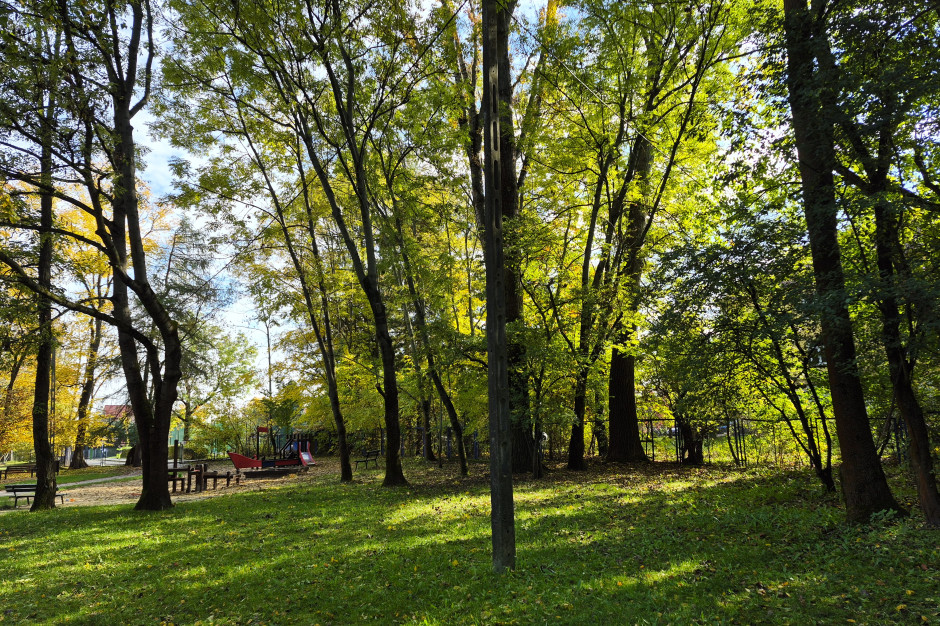 Zabytkowy krakowski park przejdzie metamorfozę